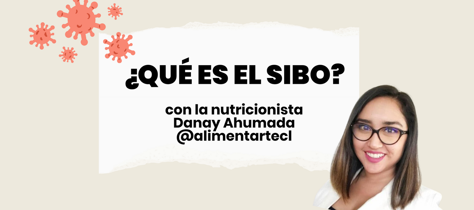 Guía completa sobre el SIBO: Síntomas y tratamientos – Wild Foods