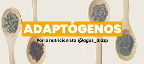 Descubre que son los adaptógenos: Propiedades y beneficios – Wild Foods
