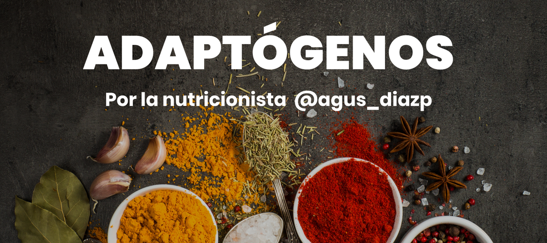 Adaptógenos: Propiedades y beneficios – Wild Foods