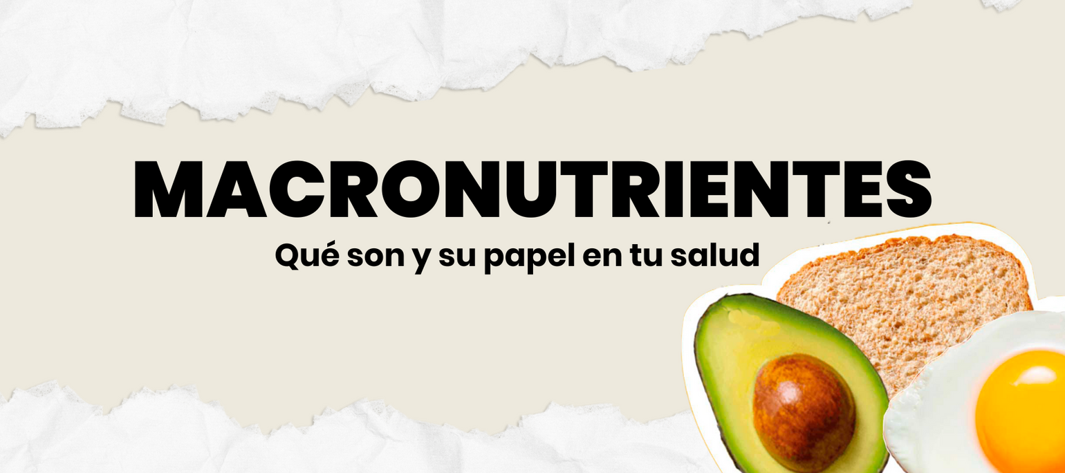 Qué son los macronutrientes y micronutrientes – Wild Foods