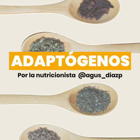 Descubre que son los adaptógenos: Propiedades y beneficios – Wild Foods