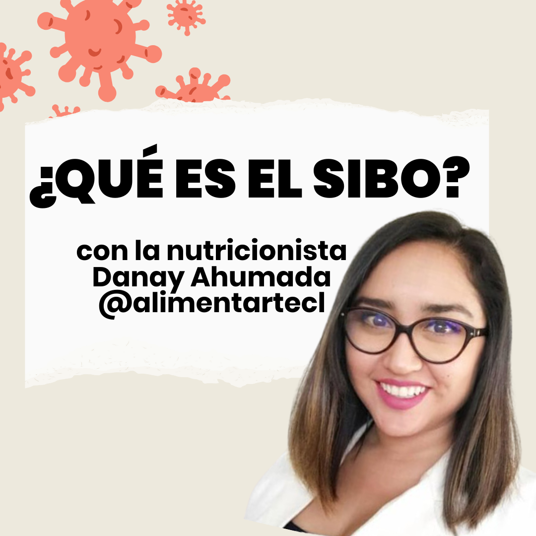 Guía completa sobre el SIBO: Síntomas y tratamientos – Wild Foods