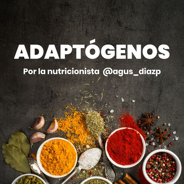 Adaptógenos: Propiedades y beneficios – Wild Foods
